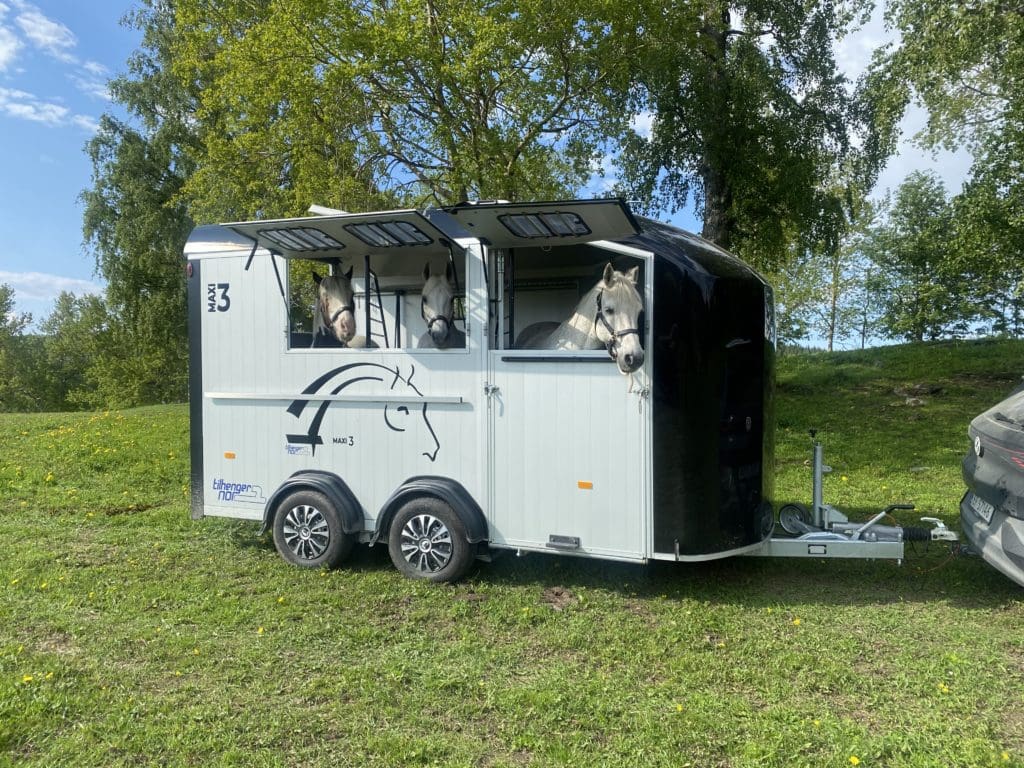 Stall Mule | Tilhengernor AS